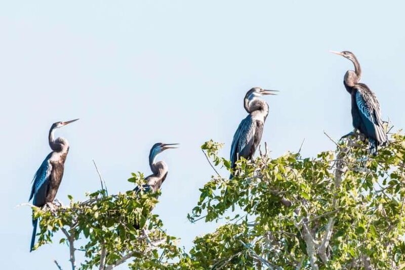 Bundala National Park Safari from Weligama - Value and Practical Considerations