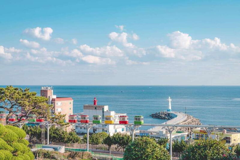 Busan: Max Out City Highlights Full-Day Tour - The Practicalities: Transportation, Timing, and Overall Value