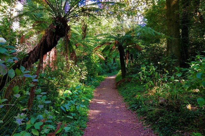 Bussaco Forest Walking Experience, half day from Coimbra - Final Thoughts