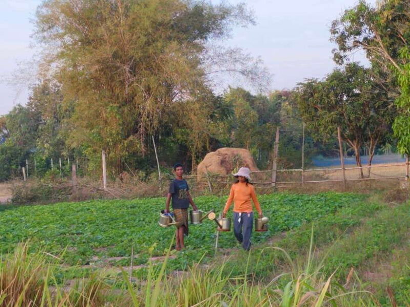 Cambodia Cooking Class, Oxcart Ride with Local Village Tour - Analyzing the Value