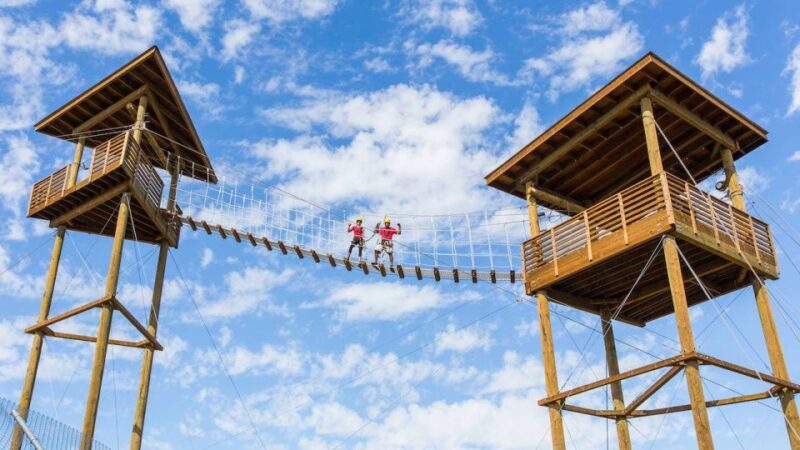 Camp Verde: Predator Zip Lines Guided Tour - The Value Proposition