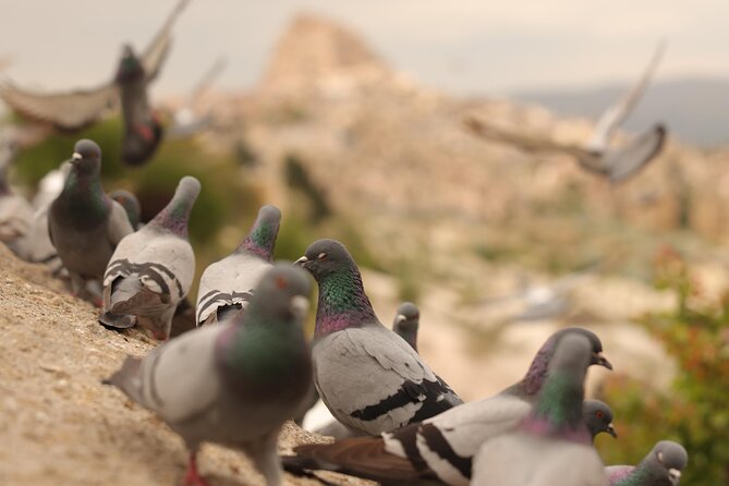 Cappadocia Private Guided Tour(Car&Licensed Guide) - Why Travelers Love This Tour