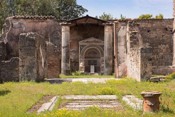 Capri, Blue Grotto, Sorrento & Pompeii Private Tour - What Travelers Say