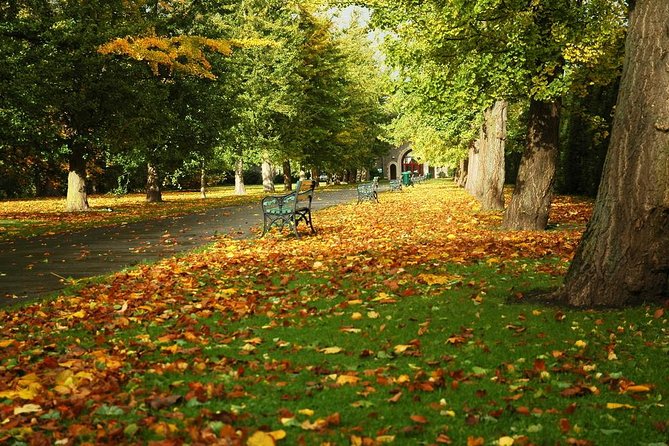 Cardiff Day Tour from London with Local Guide (Visit Wales) - Who Should Consider This Tour?