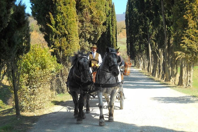 Carriage ride and Lunch in a typical restaurant in the heart of Chianti - Pricing and Value Analysis