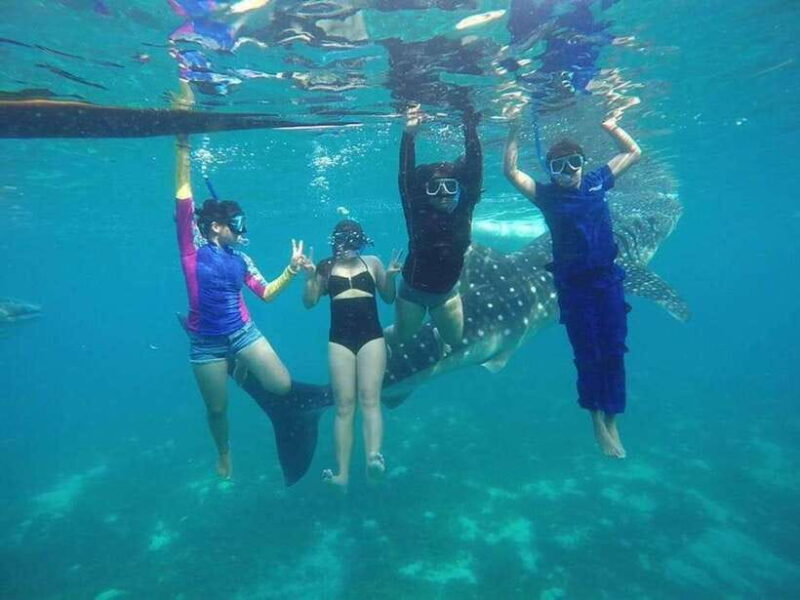 Cebu 2 Days Highlights Tour - The Value of This Tour