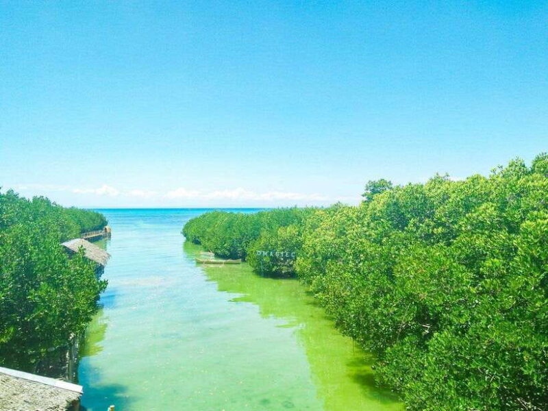 Cebu Bantayan Island Day Tour (Private Tour) - Why This Tour Stands Out