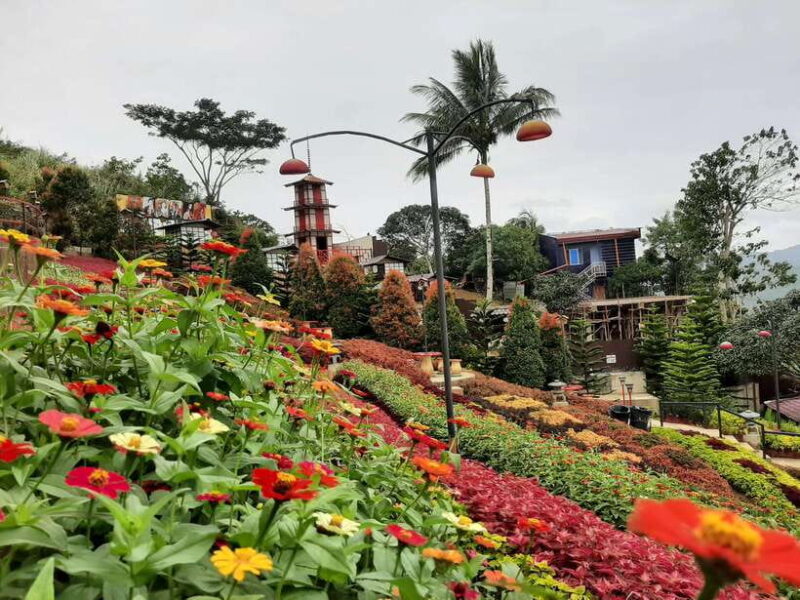 Cebu City: Cultural Heritage Tour & 10,000 Roses Visit - The Grandiose Temple of Leah