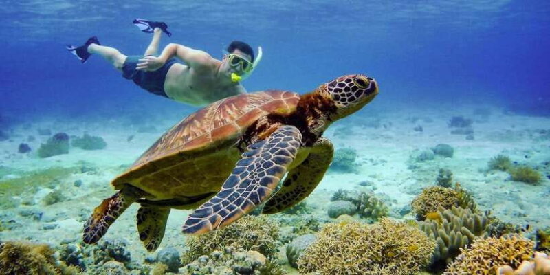 Cebu Moalboal-Badian Tour w/ Set Lunch (Private Tour) - Detailed Breakdown of the Itinerary
