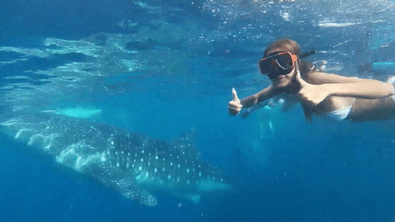 Cebu: Oslob Whaleshark & Canyoneering Group Tour with Lunch - Final Thoughts: Is This Tour Right for You?