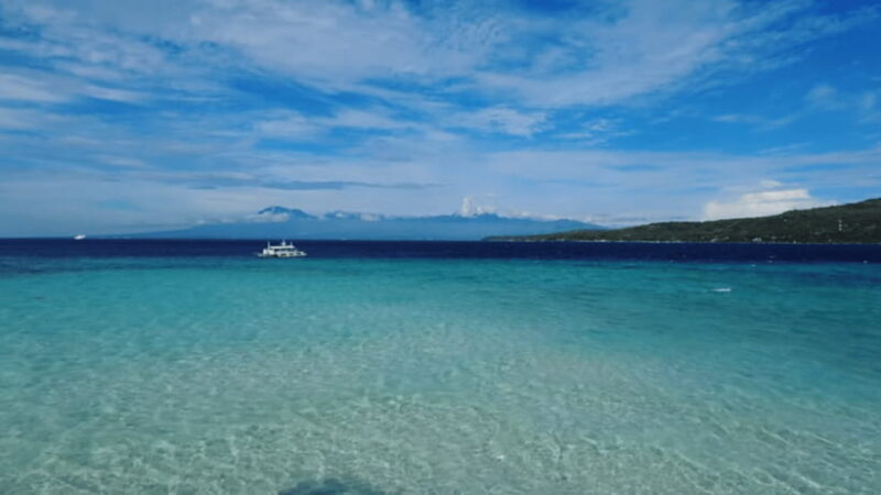 Cebu: Whale Shark Watching, Tumalog Falls & Sumilon Island - Detailed Breakdown of the Itinerary