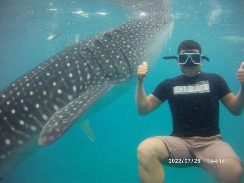Cebu: Whaleshark Encounter, Tumalog Falls & Sumilon Sandbar - What’s Included and What to Consider