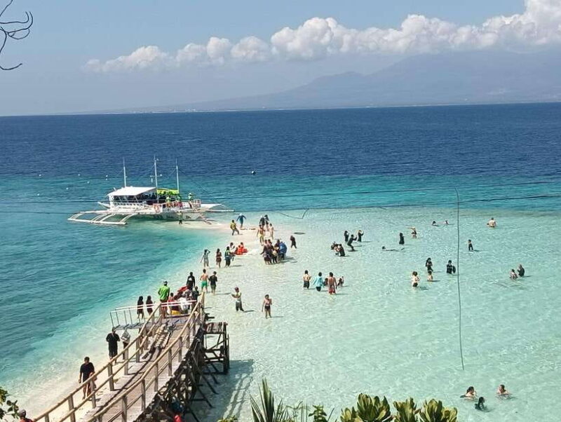 Cebu: Whaleshark Watching, Sumilon Island, and Moalboal - The Itinerary Breakdown