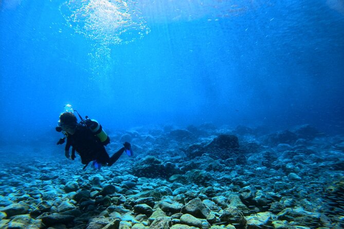 Chania Scuba Diving | Fun Dives | Certified Divers - Overview: What Makes This Dive Experience Stand Out