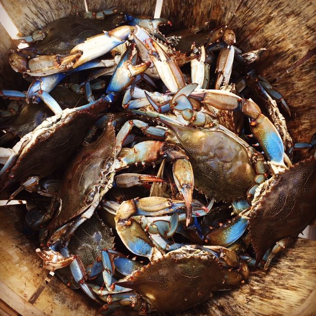 Charleston: Shem Creek Culture Tour - An Authentic Look at Shem Creeks Cultural and Natural Heritage