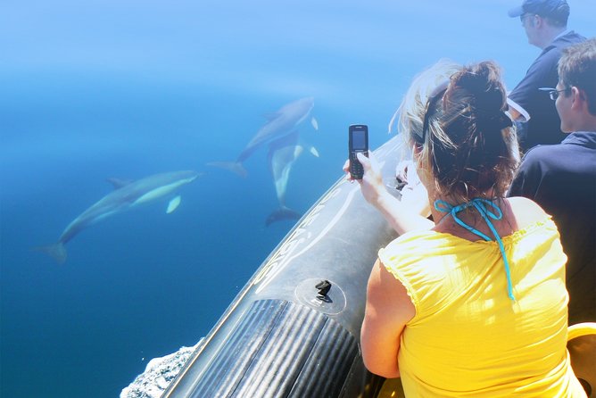 Cheapest Family Friendly Boat Trip From Vilamoura Algarve - Authentic Experiences & Honest Feedback