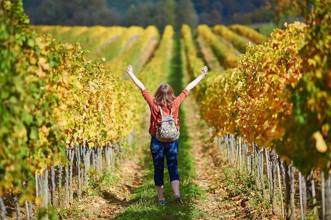 Chianti and Supertuscan Private tour with lunch from Livorno - Who Should Consider This Tour?