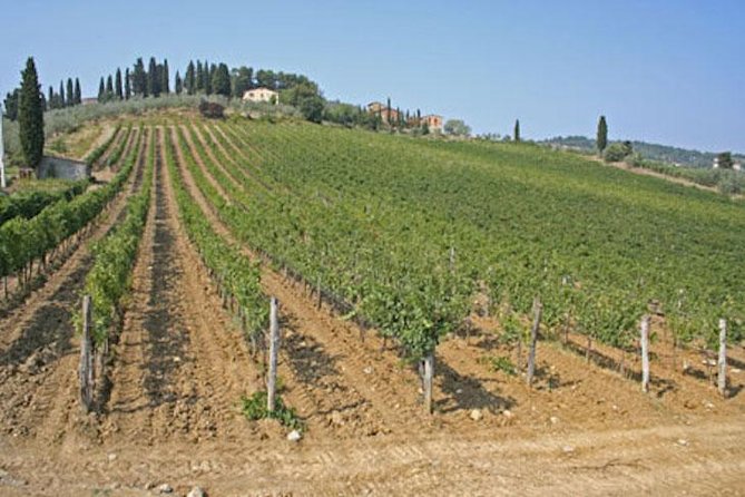 Chianti Experience Shore Excursion from Livorno Port - Considerations and Practical Tips