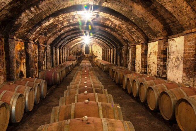 Chianti, SuperTuscan & San Gimignano - 2 wineries and light lunch - Visiting the Wineries: More Than Just Tasting