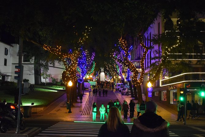 Christmas Lights Tukxi Tour (price per tukxi - up to 5 people) - Who Will Love This Tour?