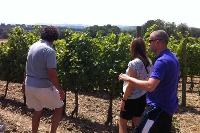 Cité de Carcassonne and Wine Tasting Private Day Tour from Toulouse - Detailed Breakdown of the Itinerary