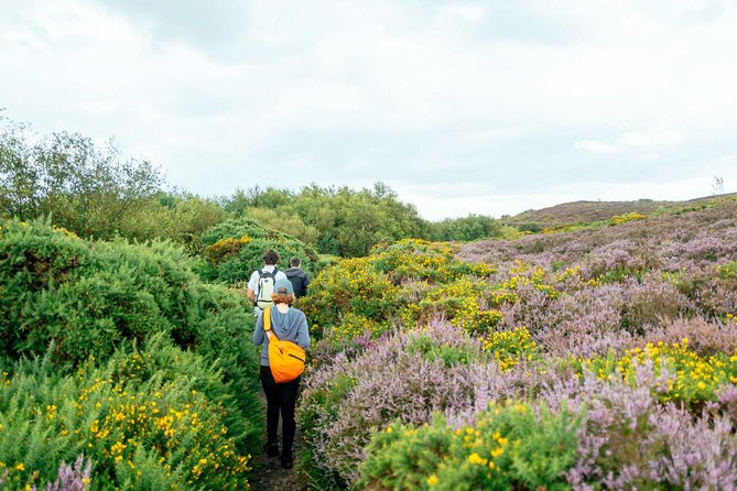 City Explorer: Howth Private Day Trip - Analyzing the Experience