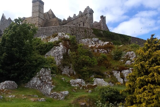 Cliffs of Moher & Bunratty Castle Day Tour - FAQ