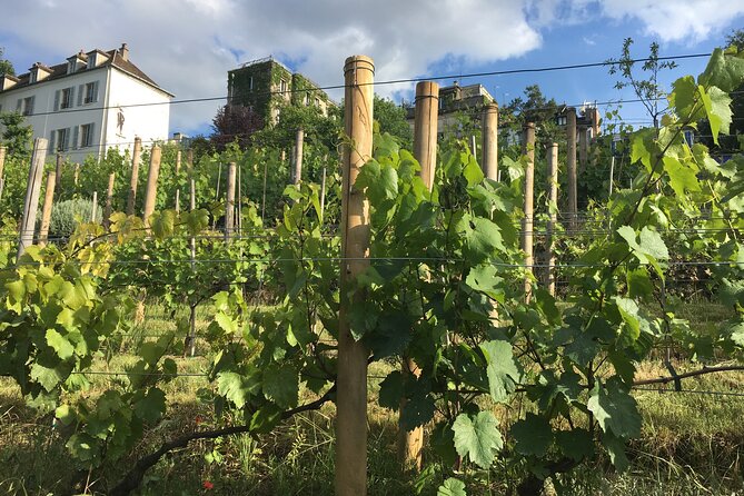 Clos Montmartre 'Paris in your Glass' Wine Tasting - What Travelers Say