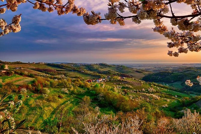 Collio: Cividale Del Friuli and Wine Tastings from Trieste - Who Should Consider This Tour?
