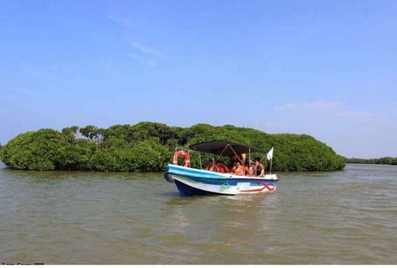 Colombo/Negombo: Muthurajawela & Dutch Canal Boat Adventure - Who Will Love This Tour?