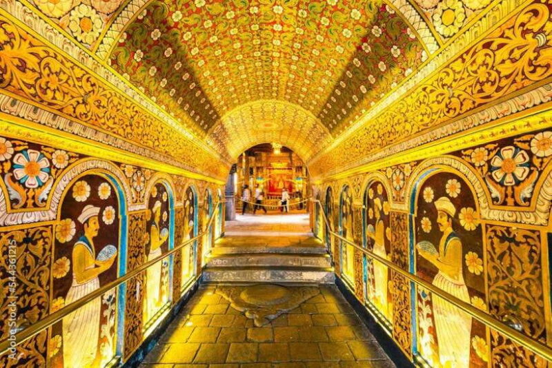 Colombo to Kandy, Pinnawela and Tea Factory Day Tour - The Itinerary Breakdown: What You Can Expect