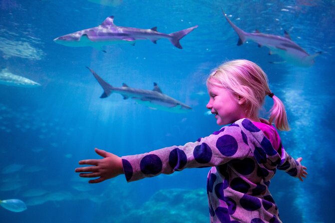 Combi Ticket: LEGOLAND Discovery Centre & SEA LIFE Oberhausen - The Experience: A Closer Look