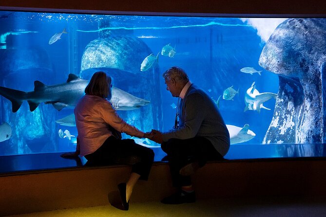 Combo Ticket: Madame Tussauds & SEA LIFE London Aquarium - Who Is This Tour Best For?