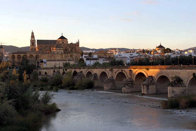 Cordoba and its Mosque Tour from Seville Full-Day Guided Tour - Who Would Love This Tour?