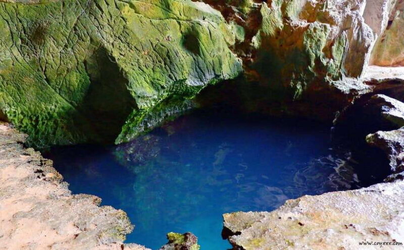 Coron Calauit Safari Tour (Private Tour) - Who Should Consider This Tour?