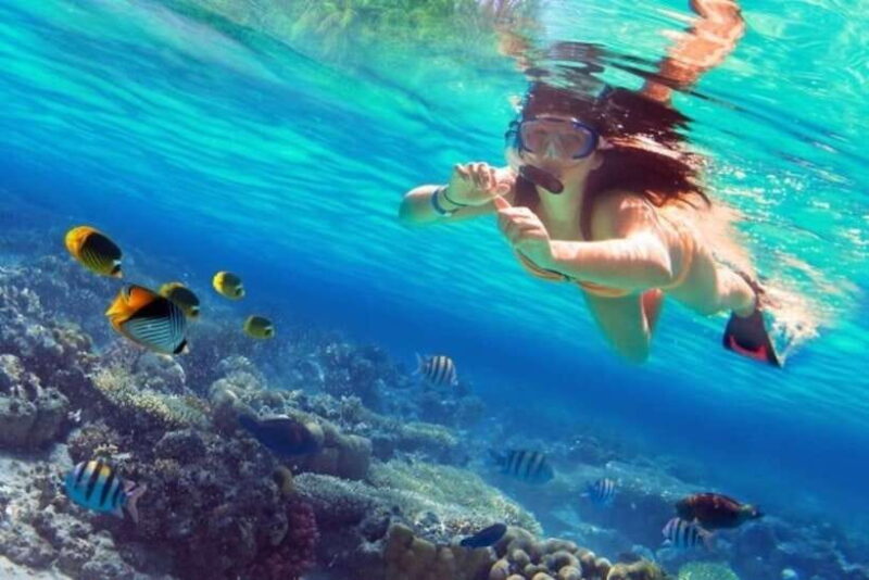 Coron: Coastal Cliffs, Beach & Malcapuya Island Hopping Tour - What You Get for the Price