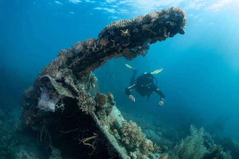 Coron Reef and Wrecks Tour (Private Tour) - What’s Included and What to Know