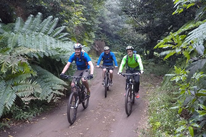 Cross Country - Moutain Bike Tour - Why This Tour Is a Great Choice