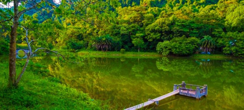 Cuc Phuong Forest - The Forest Of Thousands Of Butterflies - The Butterfly Forest and Cave Exploration