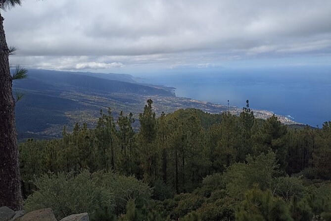 Custom Private Tenerife Volcano Car Tour - The Value of This Tour