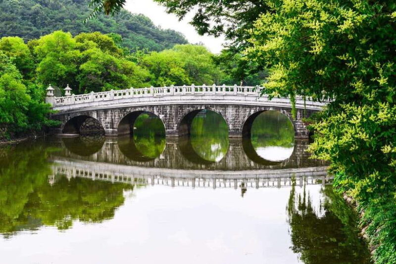Daegu: Private Taxi Tour Car Charter - Itinerary Options and What to Expect