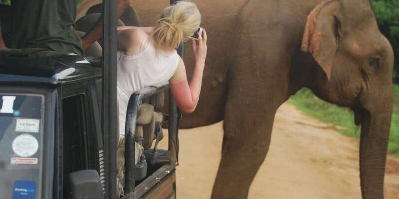 Day Safari From Hambantota - Pricing and Value