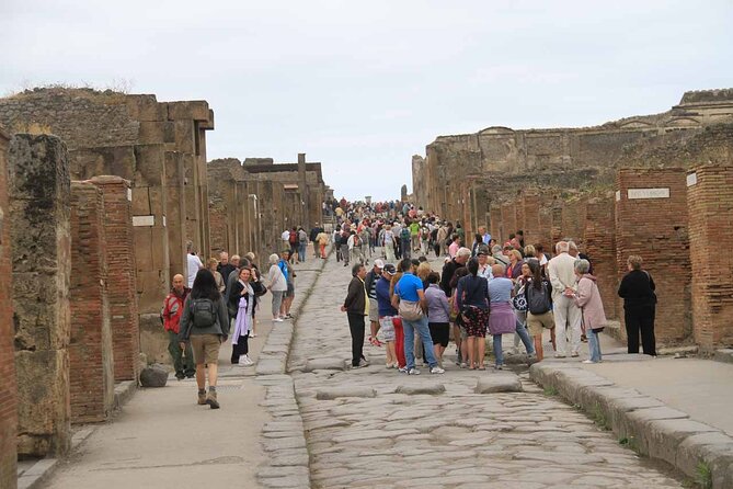 Day Trip of Pompeii, Sorrento and Positano from Naples/Salerno - Transportation and Group Size