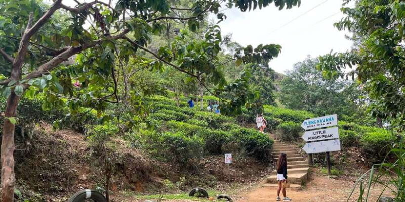 Discover the Best of Sri Lanka in 2 Days - Day 1: Waterfalls, Trains, and Tea