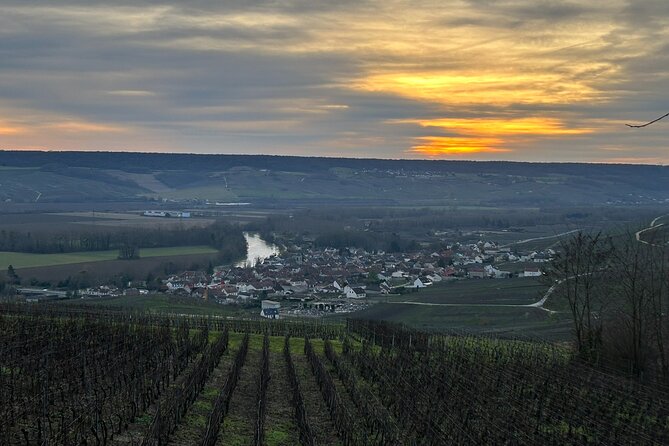 Discovery Tour Reims and Epernay - The Value of the Tour