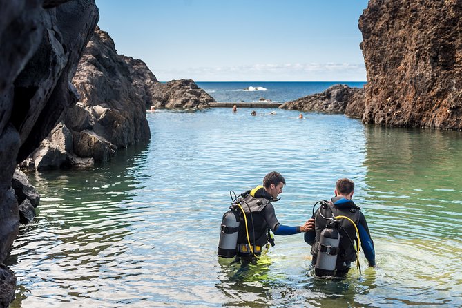 Diving in the Madeira Aquarium - Why This Tour Works