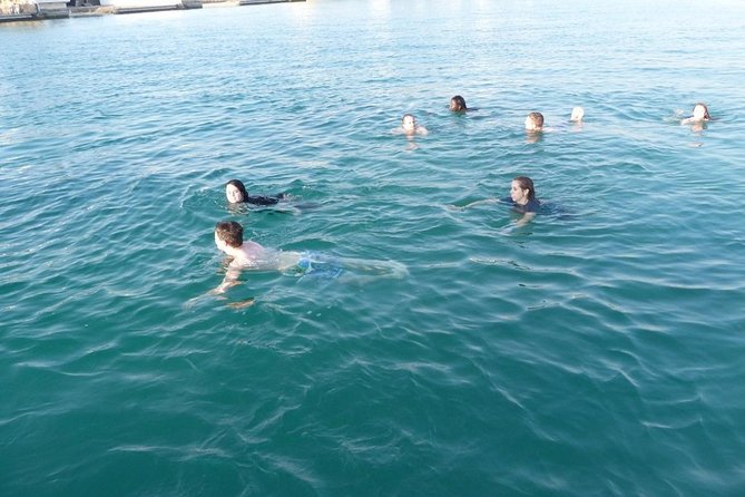 Dolphin Islands Boat Trip Lunch and Soft Drink Included From Side - An In-Depth Look at the Side Dolphin Island Boat Trip