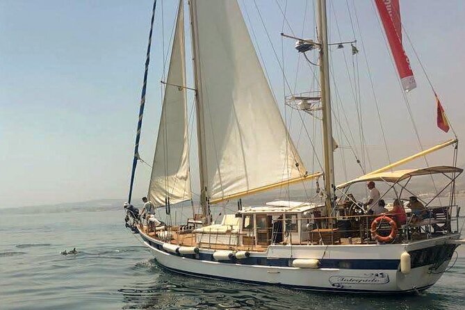 Dolphin Watching Adventure in Estepona Bay - Authentic Encounters and Real Traveler Feedback