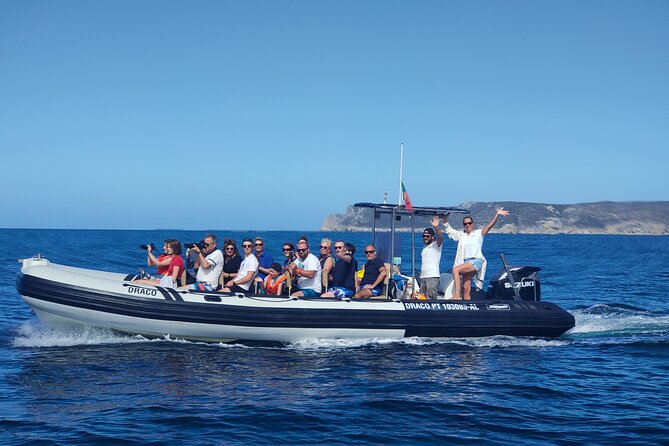 Dolphin Watching and Boat Tour in Sesimbra - What Sets This Tour Apart