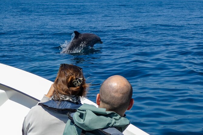 Dolphin Watching with Biologist in Arrábida Natural Park - Who Will Love This Tour?